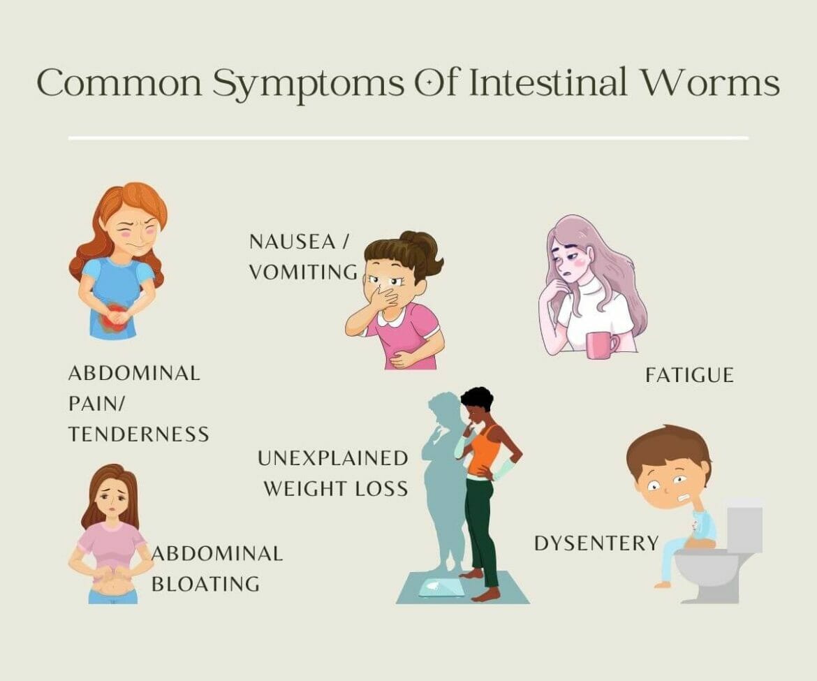 8 Very Effective Home Remedies To Treat And Prevent Intestinal Worms ...